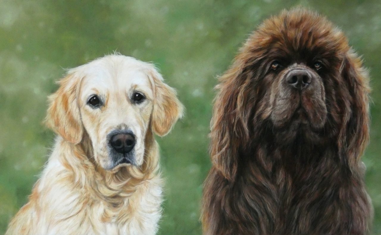 Dog portraits | Dog Portrait Artist | Sarahs Pet Portraits